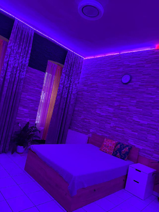 Unser neu renoviertes Studio :: Asia Studio Lily